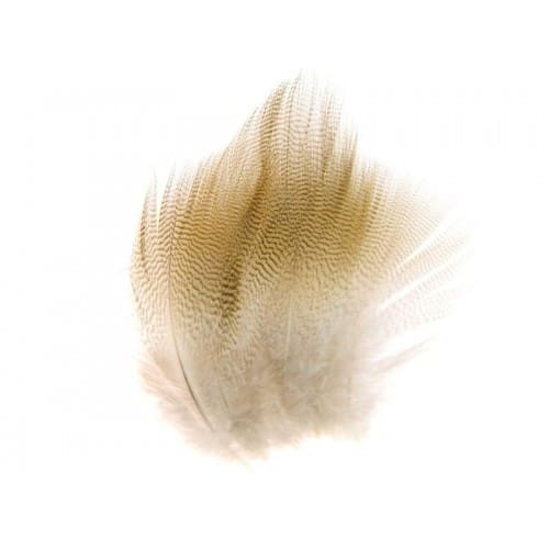 Wood Duck Lemon - Barred Flank — Boutique Salmo Nature